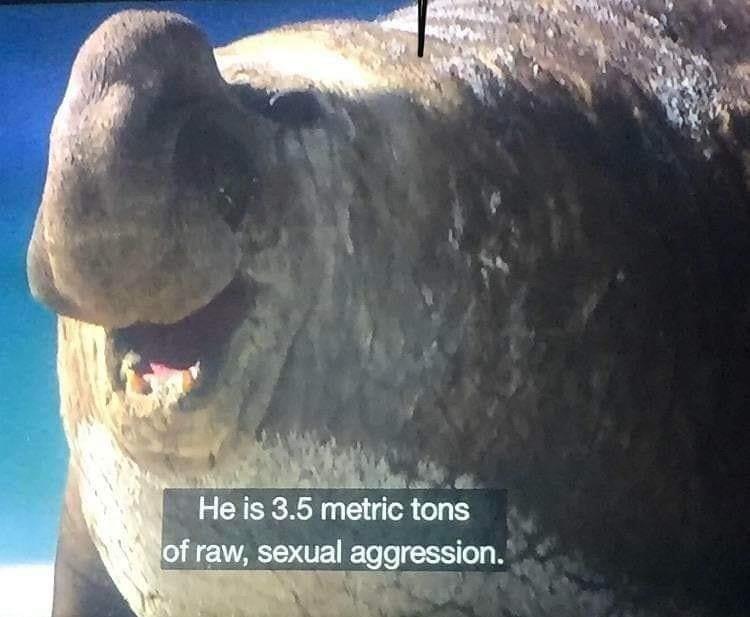 3 5 Metric Tons