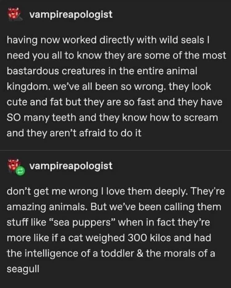 Don t Be Fooled By Seals don-t-be-fooled-by-seals