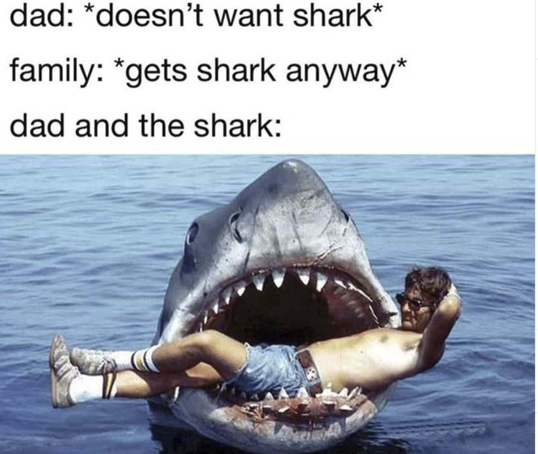 New Memes Funny Memes Cat Shark Wiggle Wiggle Anime Style Meme The Best Porn Website