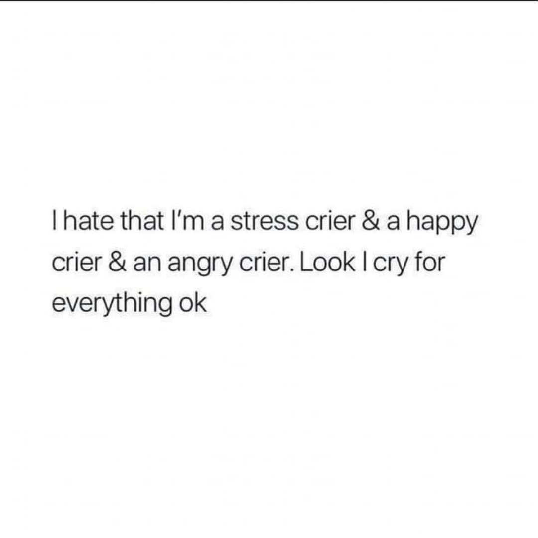 Everything Crier everything-crier