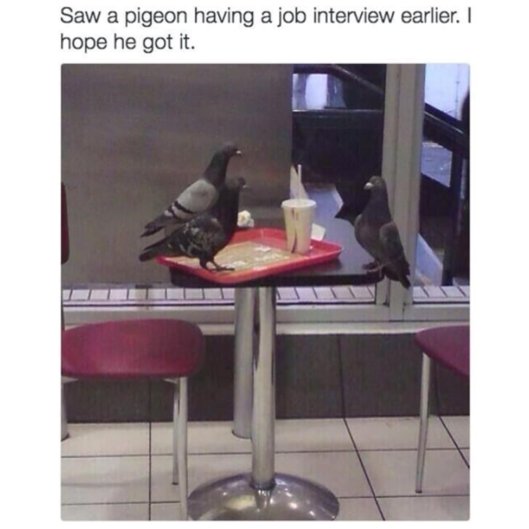 I Waste So Much Time