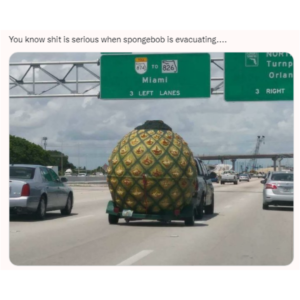 storms coming: florida memes to ease tension and hurricane ian gets ...