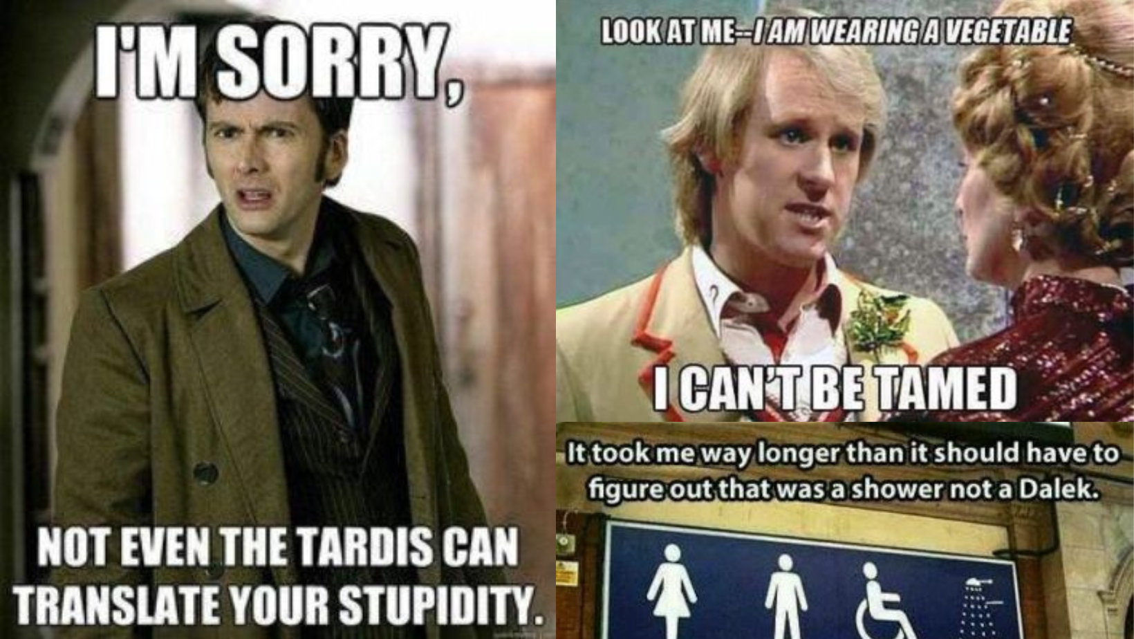 Get in the tardis for these dr. who memes as we get ready for the 14th ...