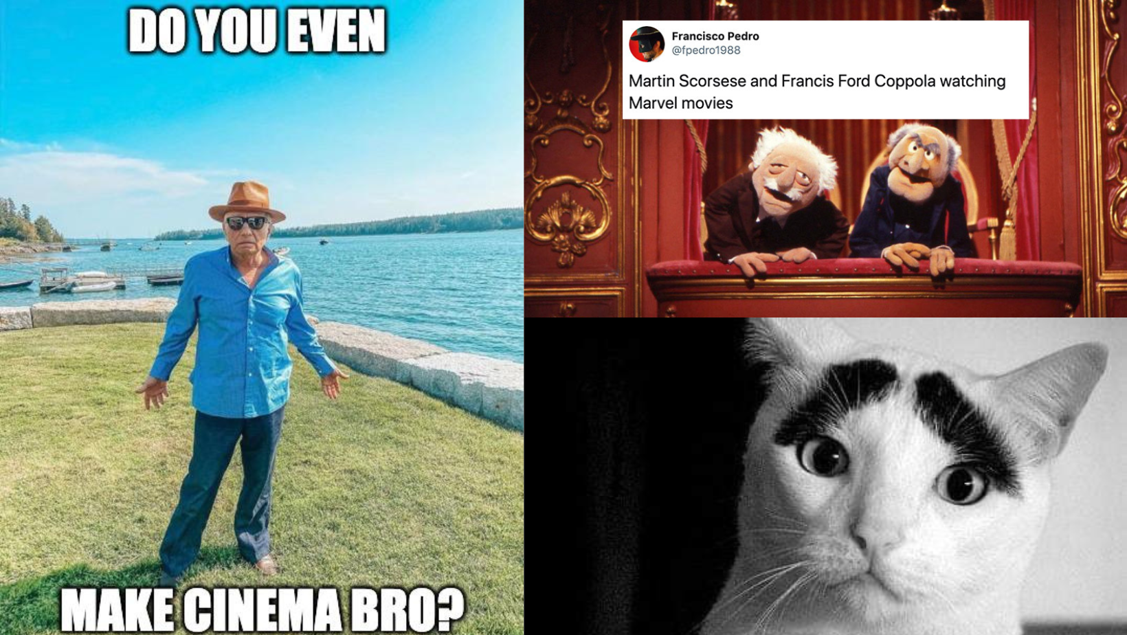 is martin scorsese out of touch as he turns 80, or is it just these memes
