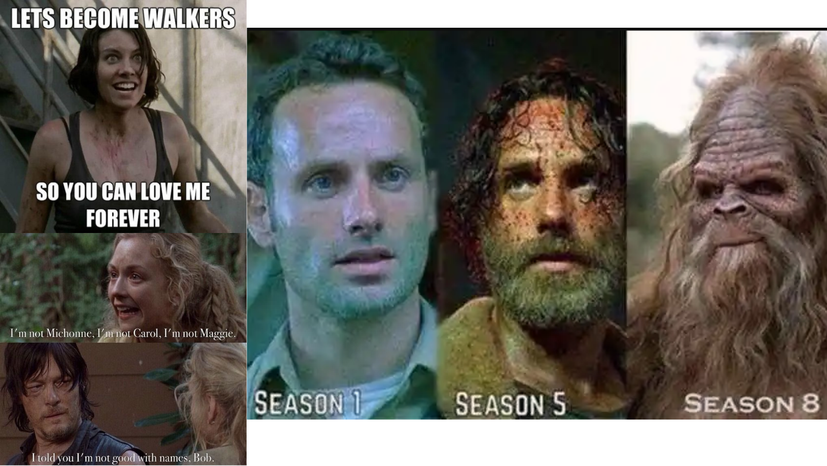 Carol Rick Walking Dead Meme