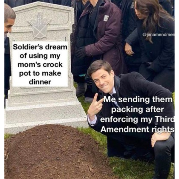Constitution memes because growing up on schoolhouse rock wasn't enough