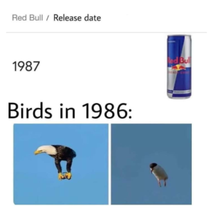 Red Bull Really Does Give You Wings