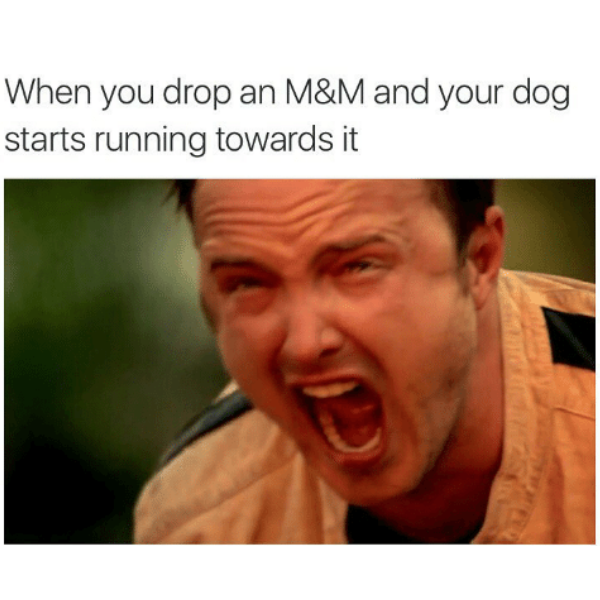 M&M Memes in Memoriam of the mascots