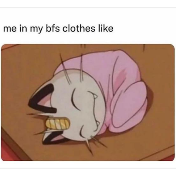 10 Memes that People who've had a Boyfriend (Or Have Been The Boyfriend ...