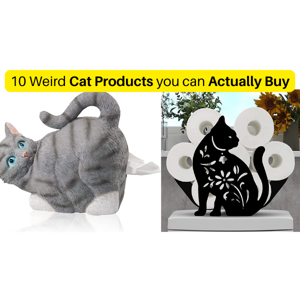 10 Weird Cat-based Objects That Actually Exist