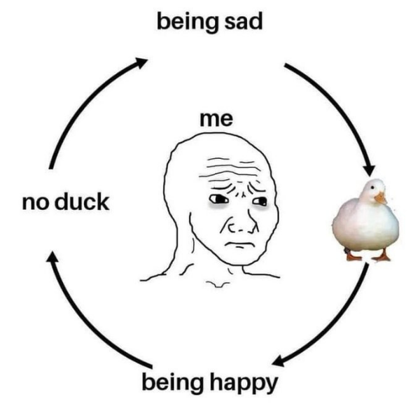 Yellow Duck Memes