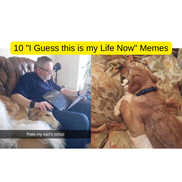 10 Things that Greatly Exhibit, "Well...I guess This is my Life now ...