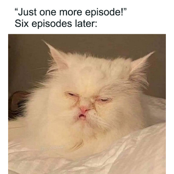 10 Netflix Memes to Chill with
