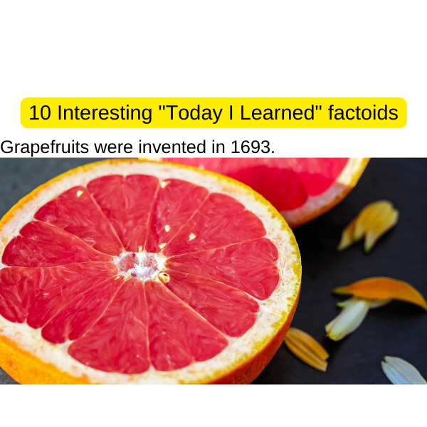 10 Interesting Factoids to Make you More Knowledgable