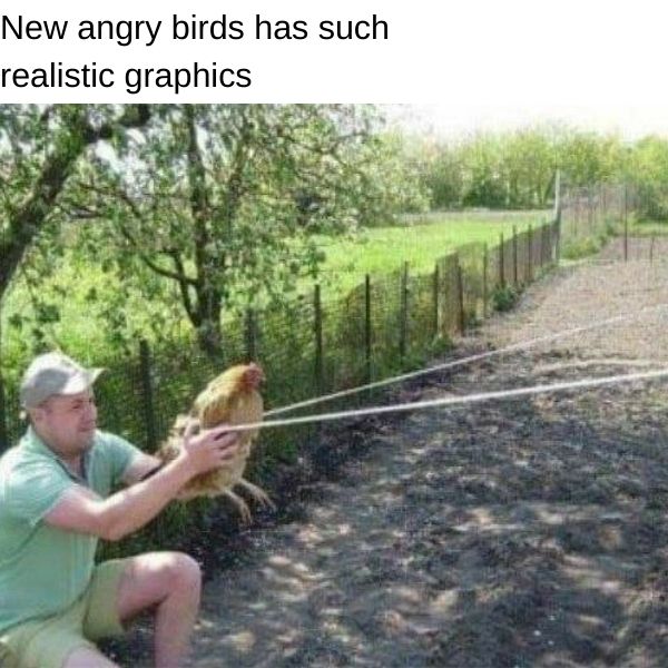 10 Chicken Memes for Poultry Day