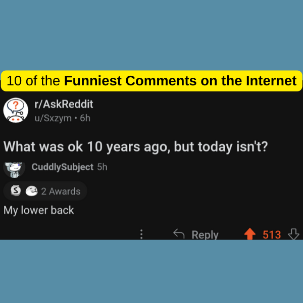 10 Comments that Serve as the Reason to Always Check Comment Sections