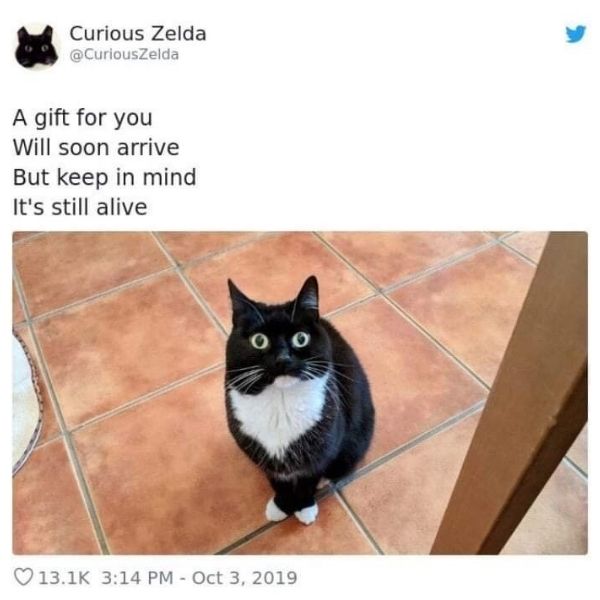 10 Funny Poetry Memes Because it's World Poetry Day