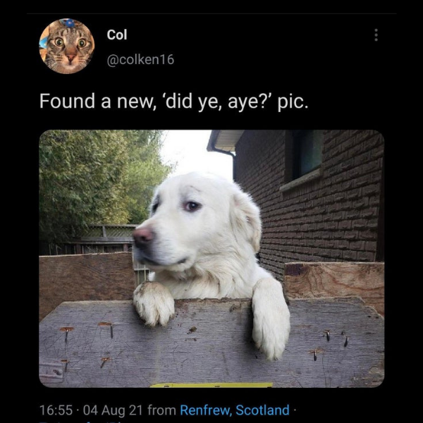 10 Scottish Tweets that Prove we Live in Different Worlds