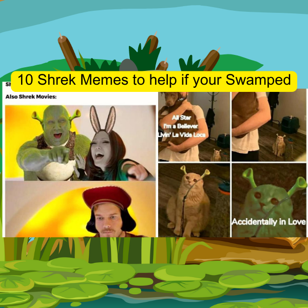 10 Shrek Memes because April 22 is it's Anniversary!