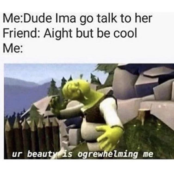10 Shrek Memes because April 22 is it's Anniversary!