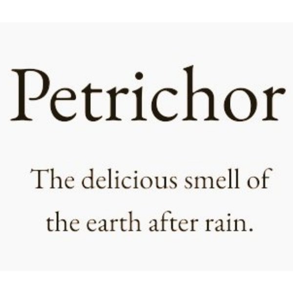 Unbelievable Word Memes