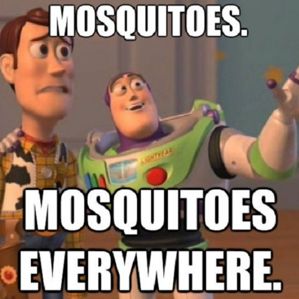 10 Alabama Memes for a Sweet Home