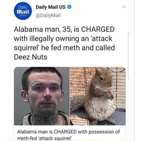 10 Alabama Memes for a Sweet Home