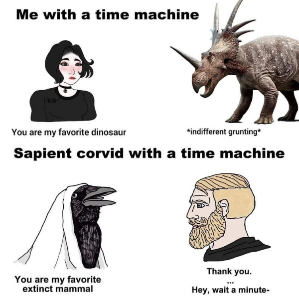 10 Corvid Memes to Form a Murder
