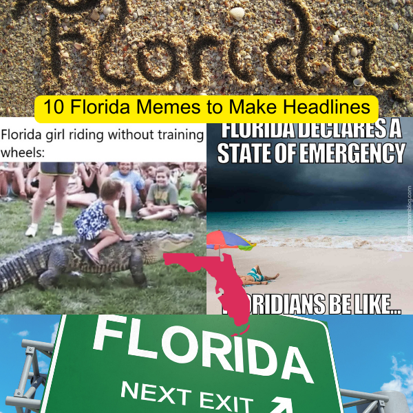 10 Florida Memes that Make Headlines in our Hearts