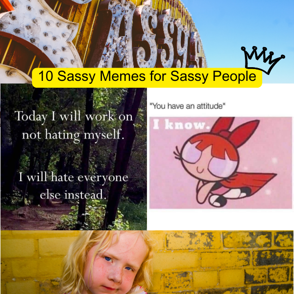 Sassy Guy Memes 10 Sassy Memes For Sassy People