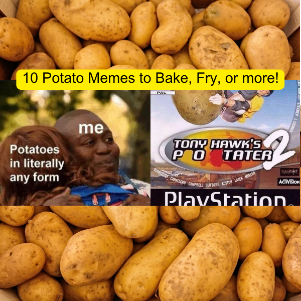 10 Potato Memes to Boil, Mash, or put in a Stew