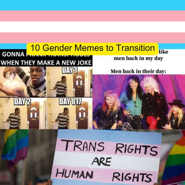 10 Gender Memes to Transition to