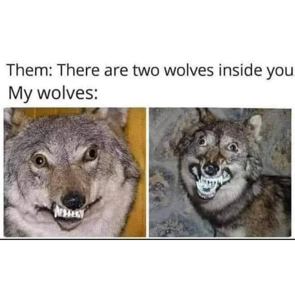 10 Wolf Memes Packed Together