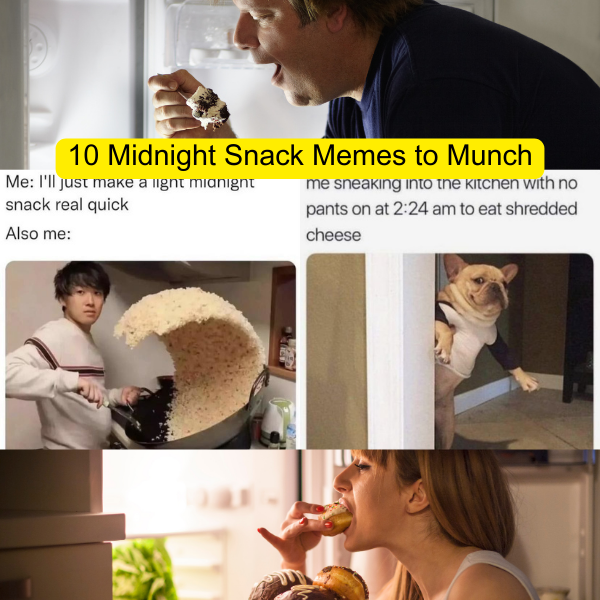 Midnight Snack Memes Another_meme_page Midnight Snack Memes & GIFs