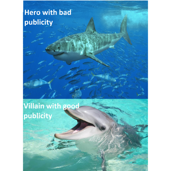 10 Dolphin Memes to Swim With