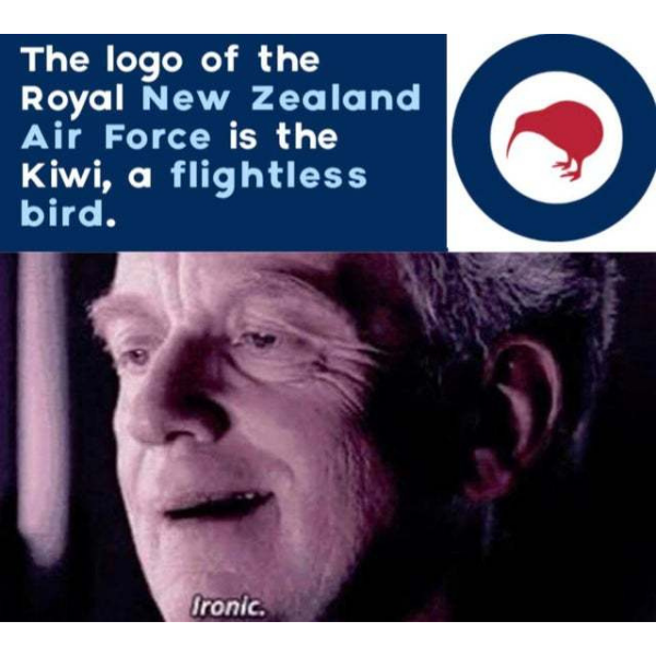 10 New Zealand Memes to Katakata