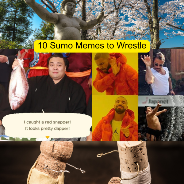 10 Sumo Memes to Wrestle