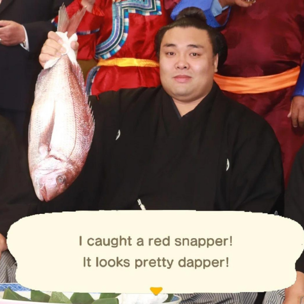 10 Sumo Memes to Wrestle