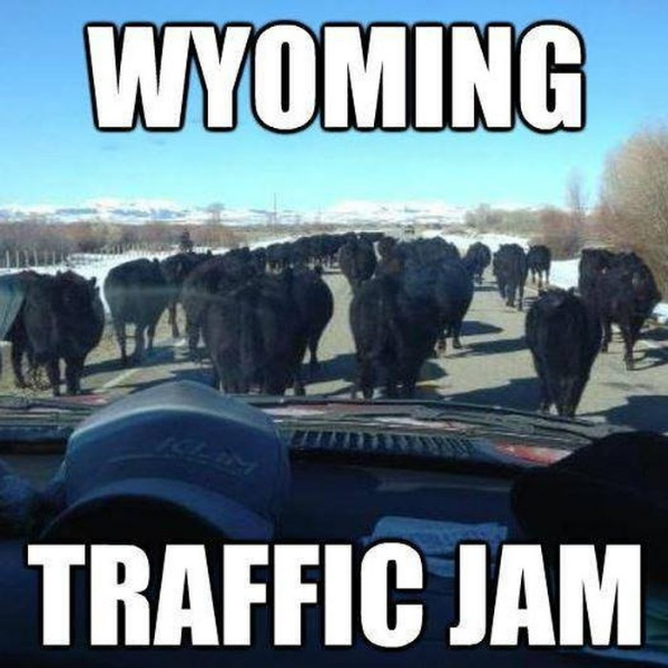 10 Wyoming Memes that Don't Exist