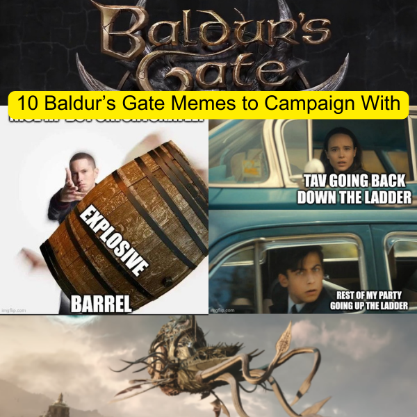 10 Baldur's Gate 3 Memes to Campaign With