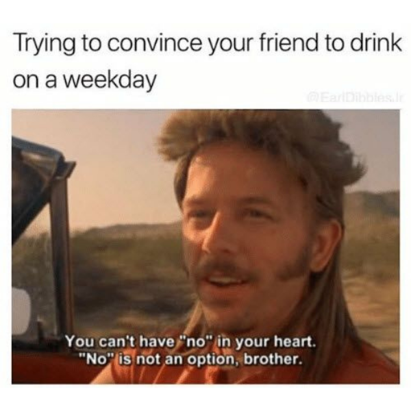 10 Alcohol Memes to Celebrate With