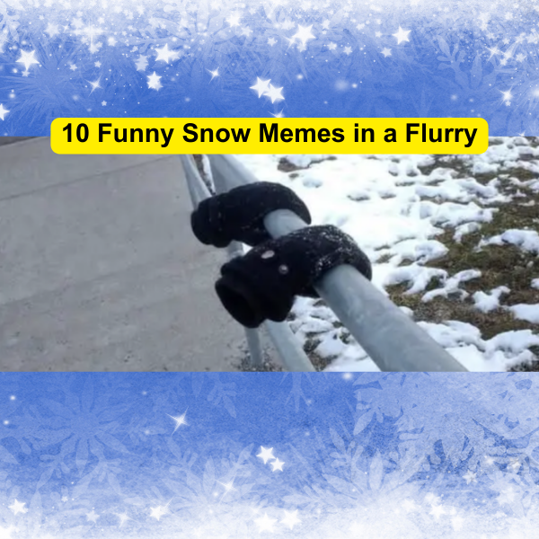 Snow Meme