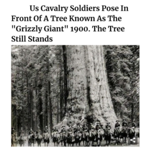 10 Cool Things in History/The World