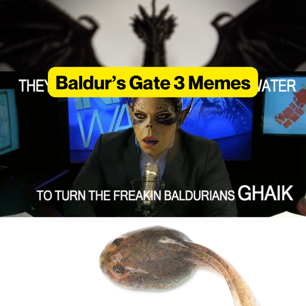 10 Funny Baldur's Gate 3 Memes to Roll for