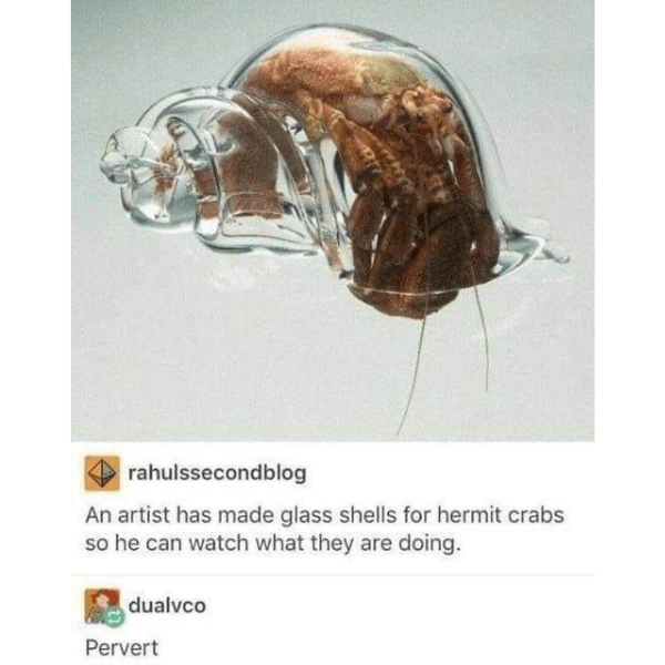 hermit permit