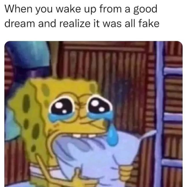10 Funny Dream Memes to Dream About