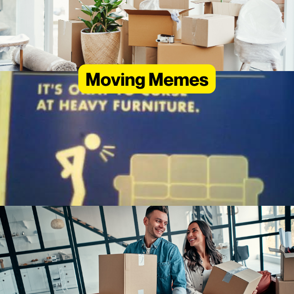 10 Funny Moving Memes to Unpack