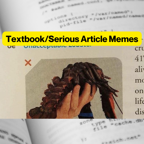 10 Funny Textbook Memes & Funny Things in Information Sources because ...