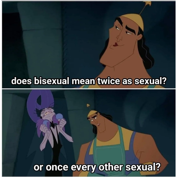 17 Funny Bi Memes to Celebrate the Ability of Indecision