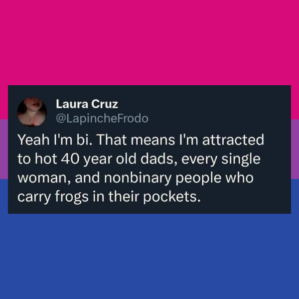 17 Funny Bi Memes to Celebrate the Ability of Indecision